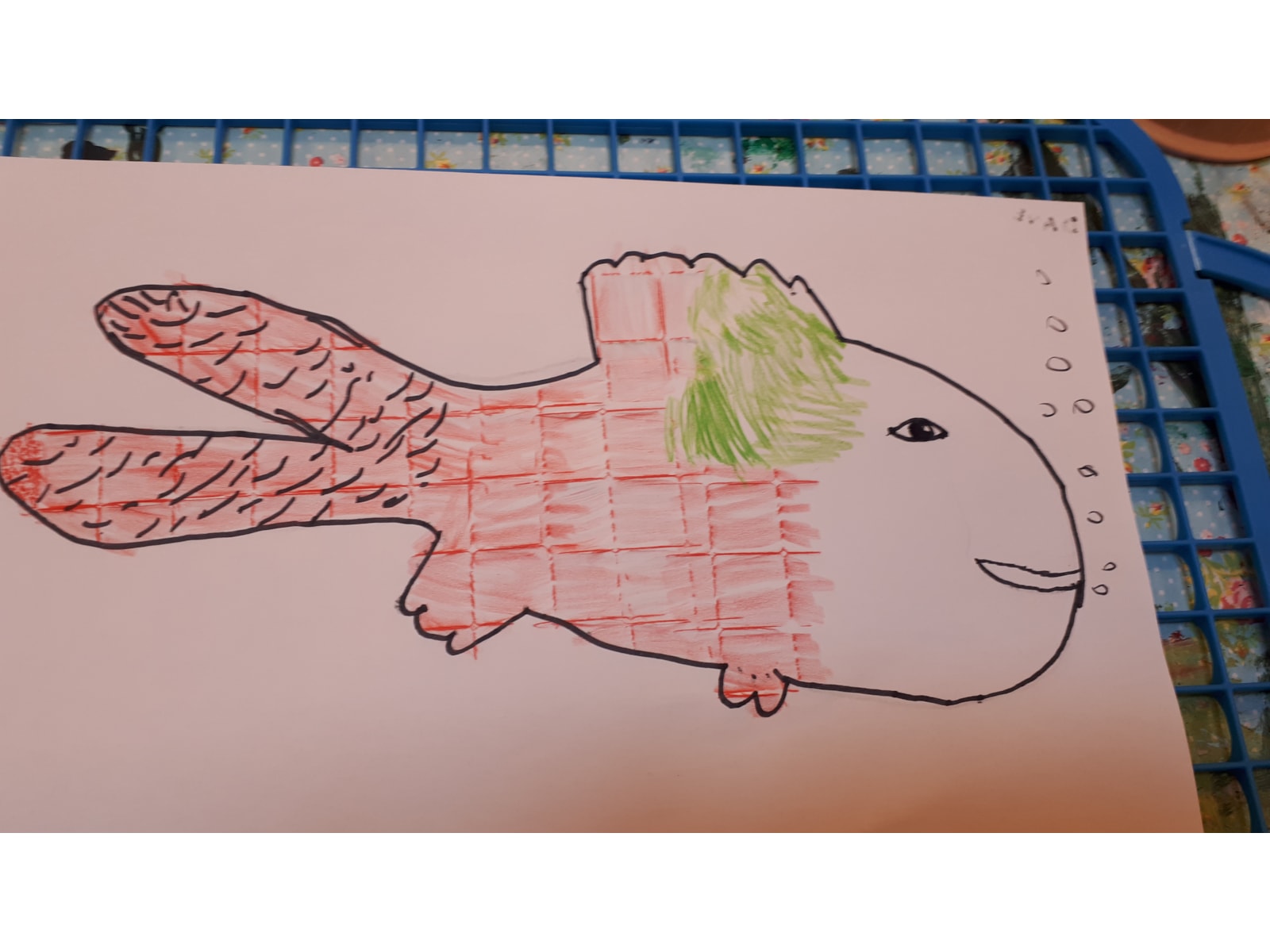 Dier met verschillende structuren/textuur - Roald Dahl school